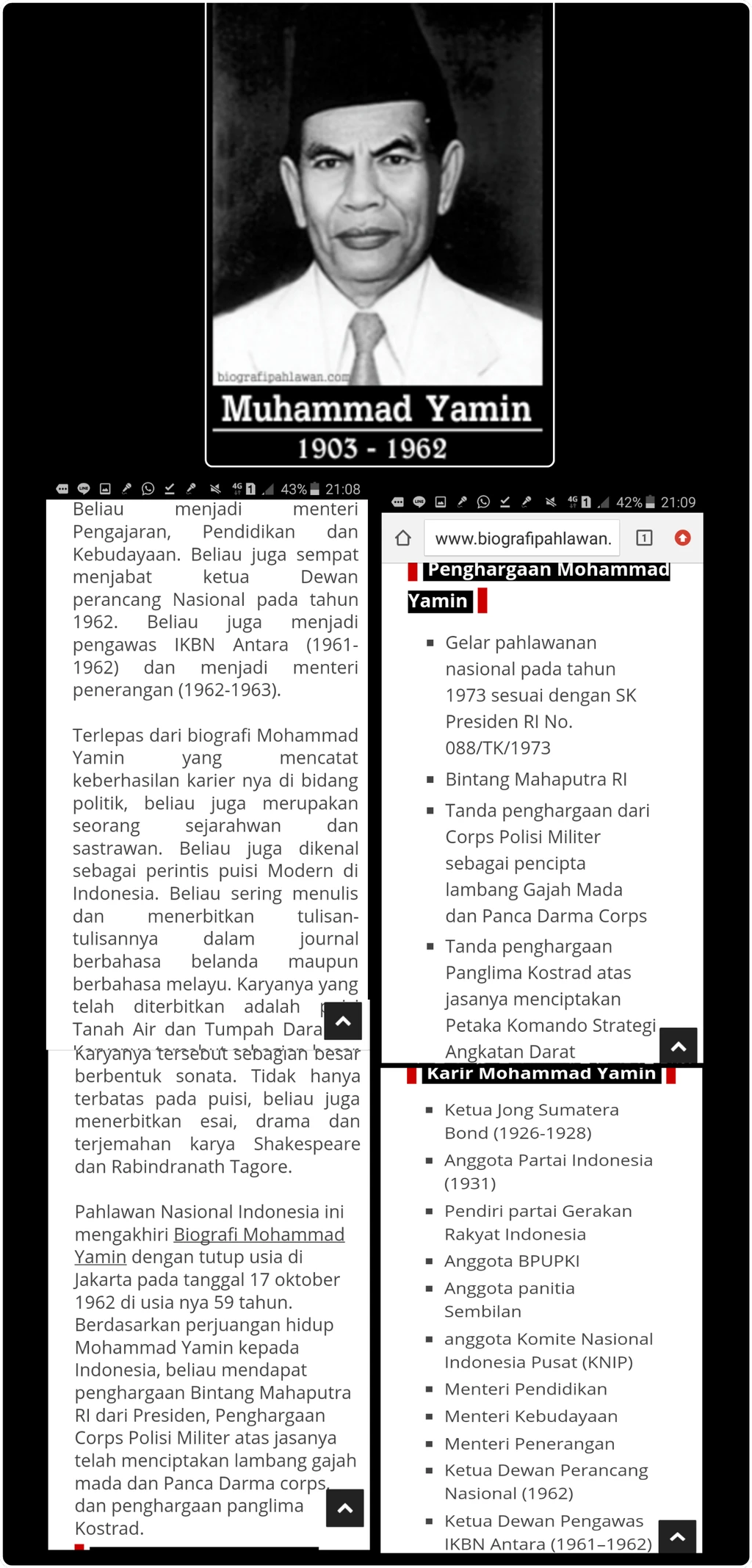 Biografi Moh Yamin