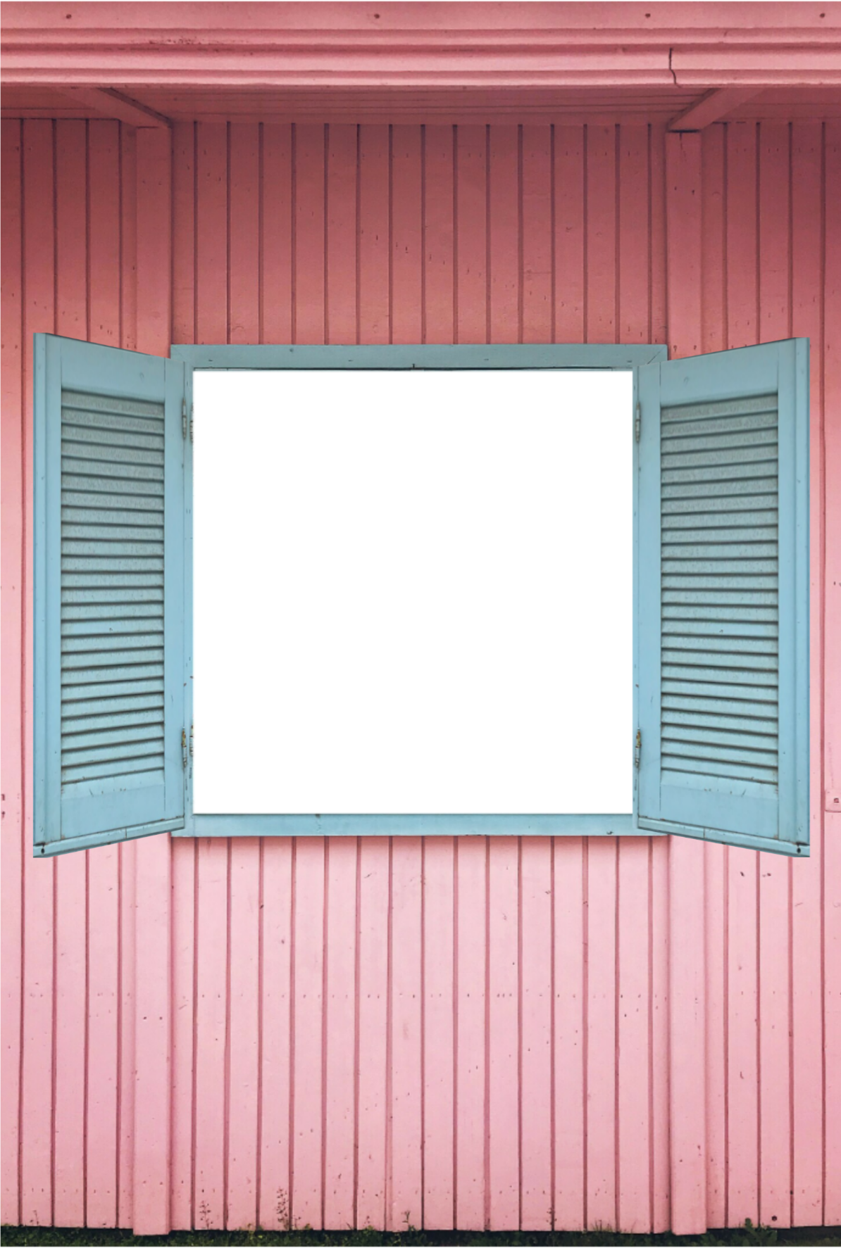 window-sticker-by-momo