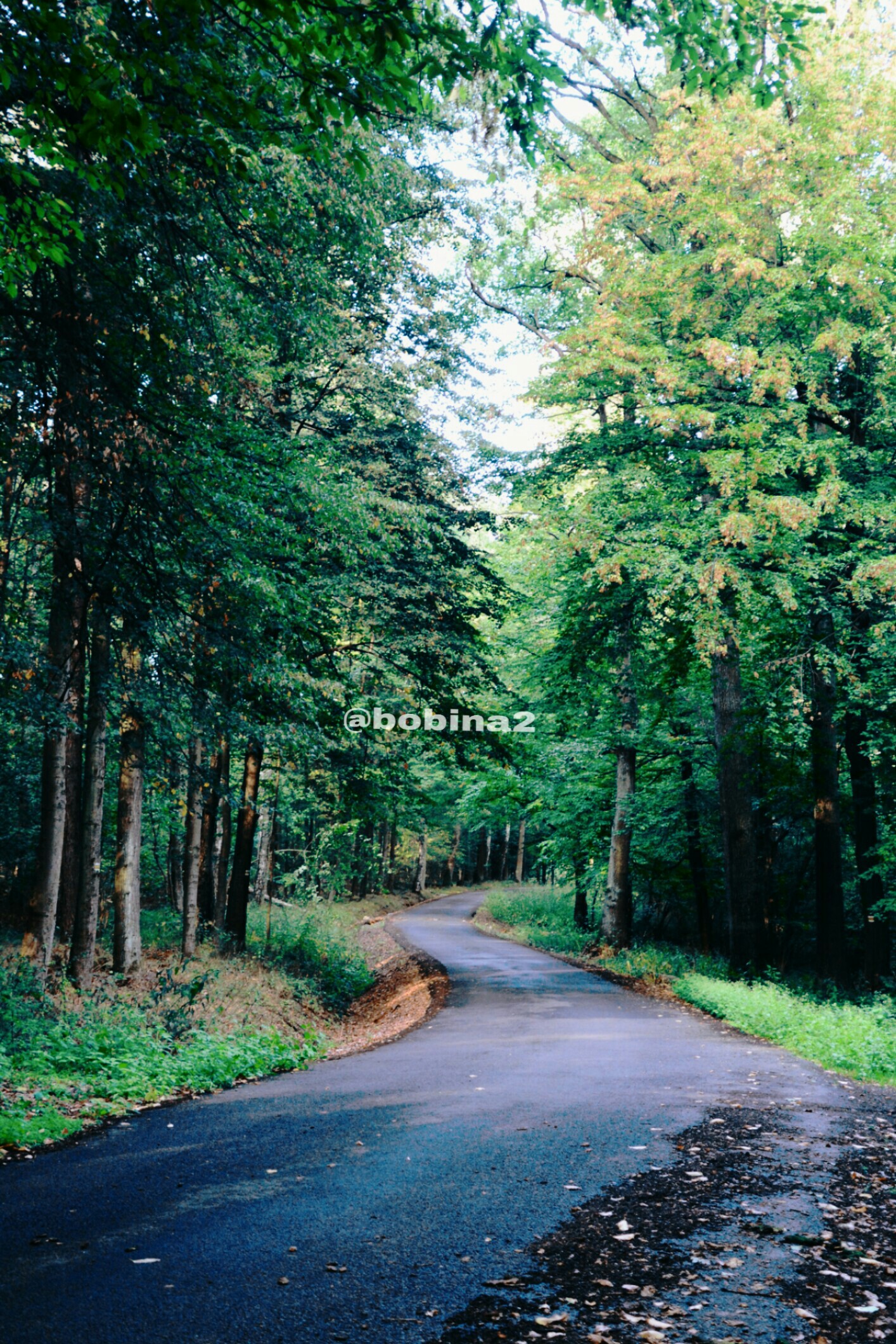 Nature Photo Editor Background Changer App - Infoupdate.org