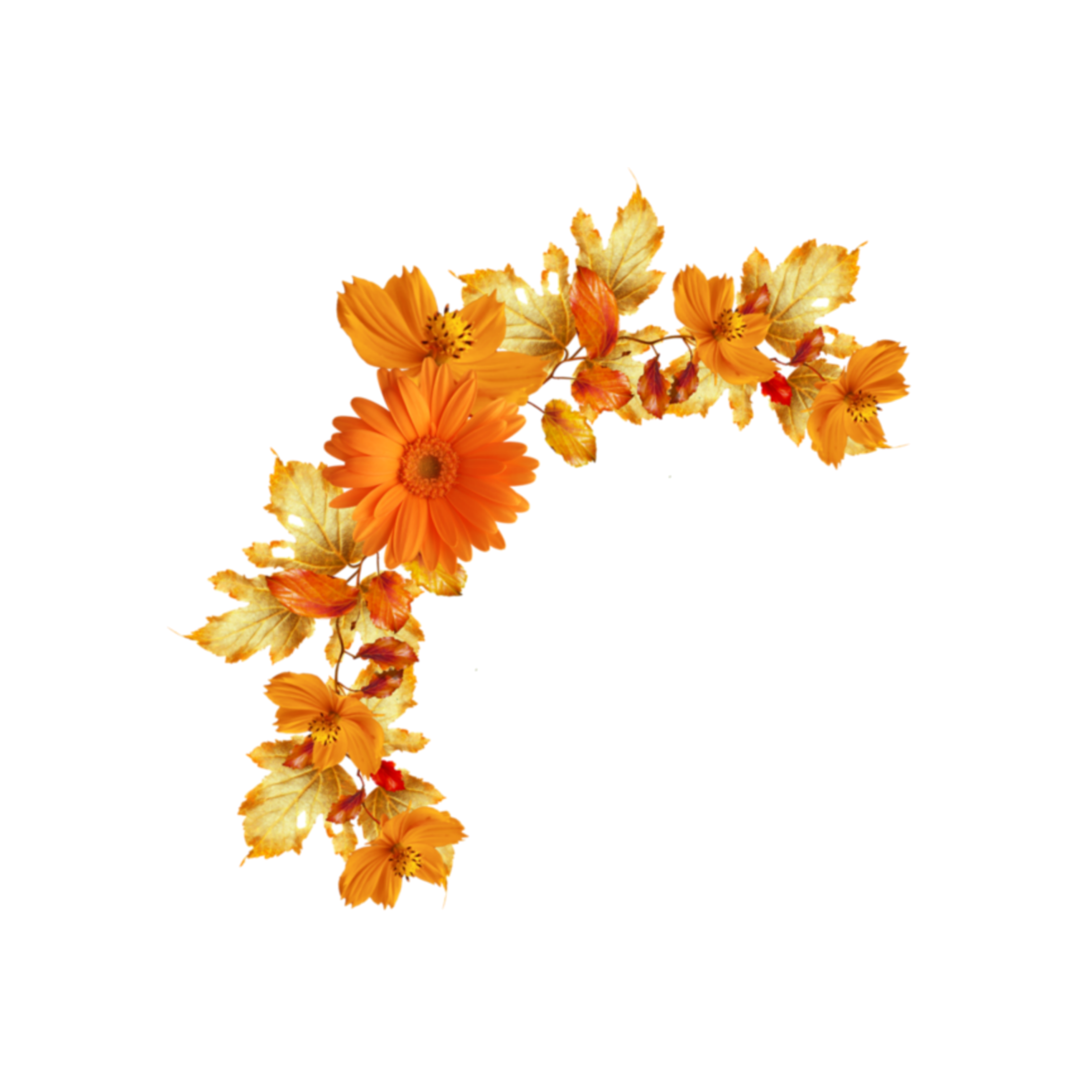 flowers flores orange naranja yellow sticker by @karuooh