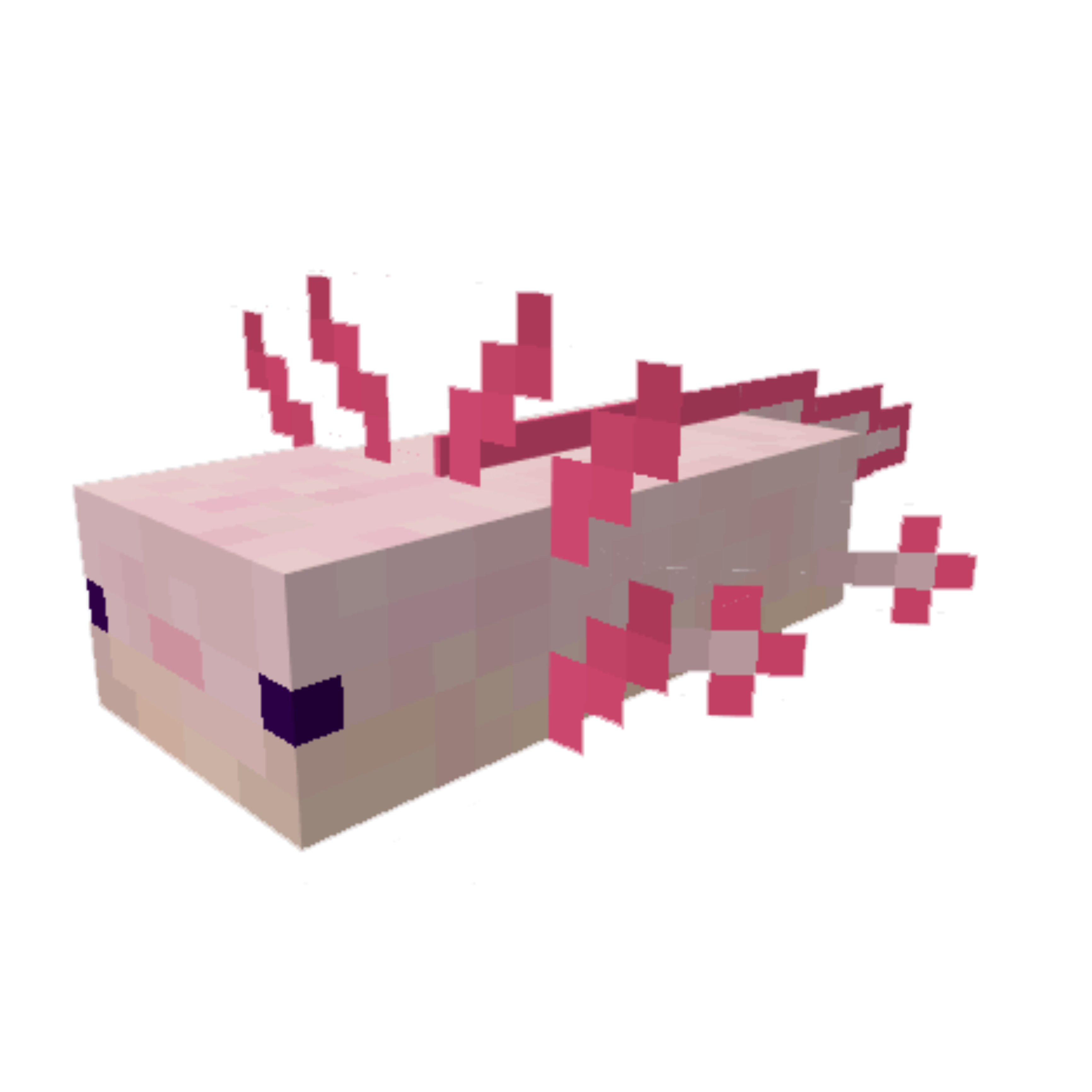 Minecraft Axolotl Skin Template
