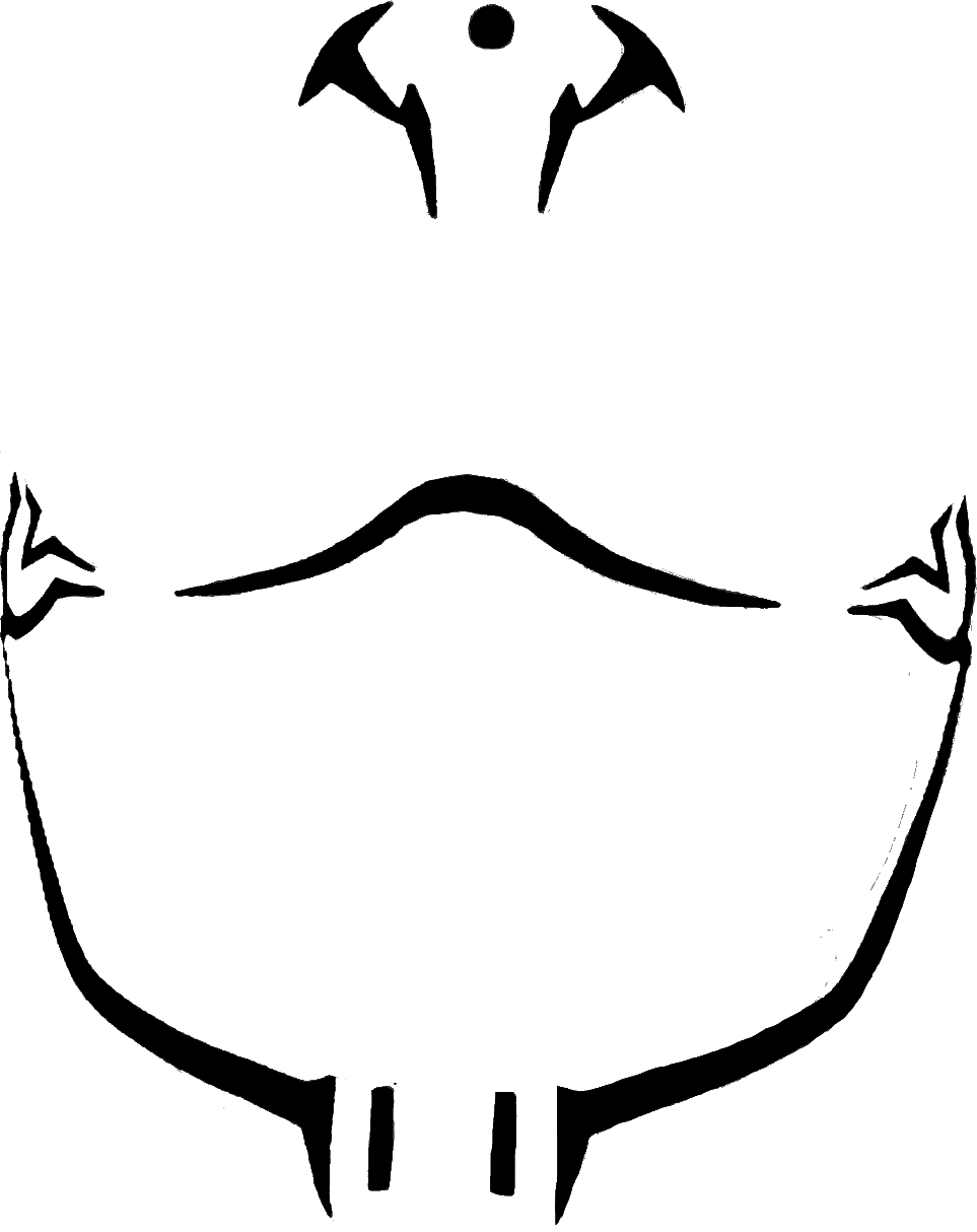 Sukuna Png Download In 4k Quality Jujutsu Kaisen Png Free, 60% OFF