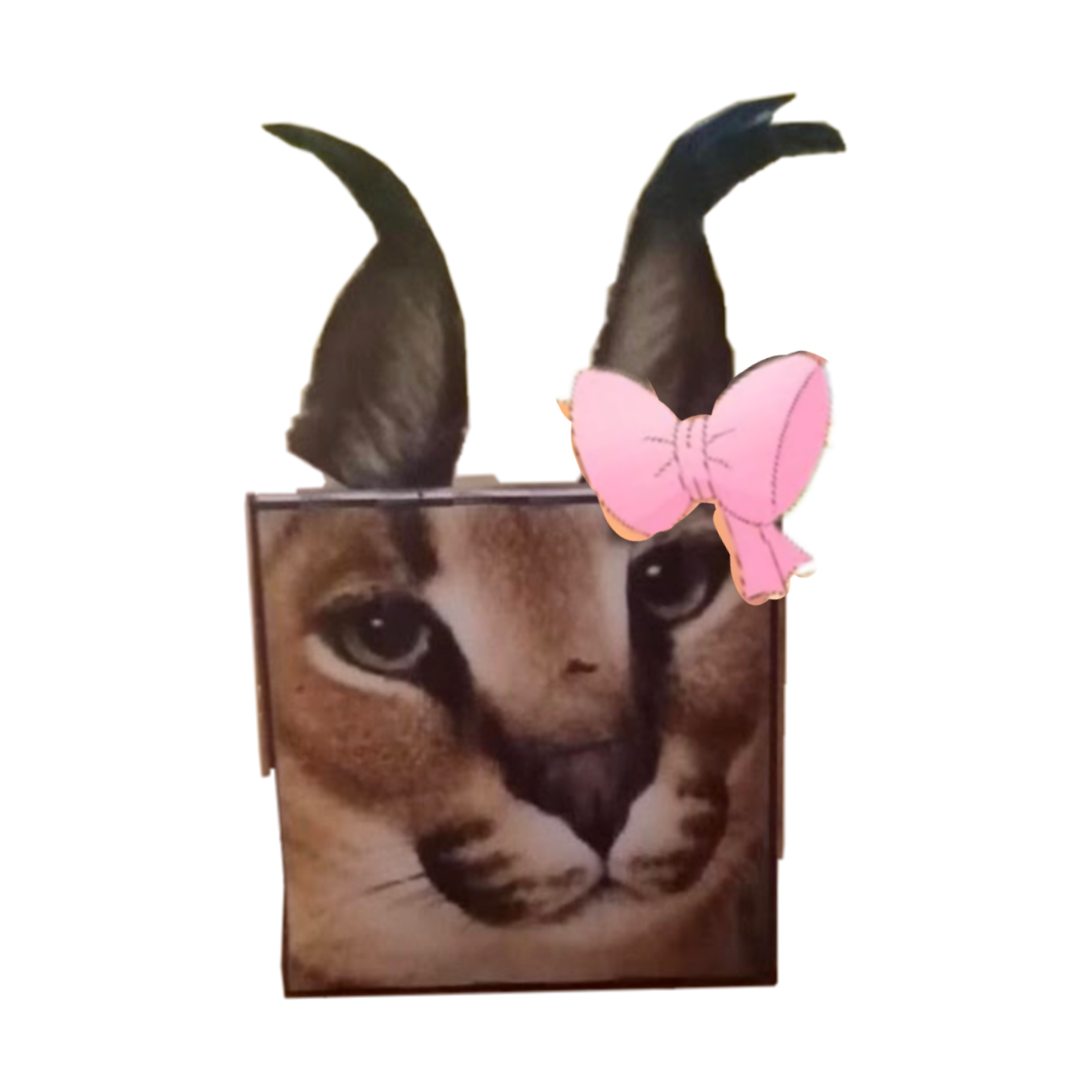 Msfloppa Floppa Freetoedit Ms Sticker By eeveelutionsqad Msfloppa Floppa Freetoedit Ms Sticker By eeveelutionsqad