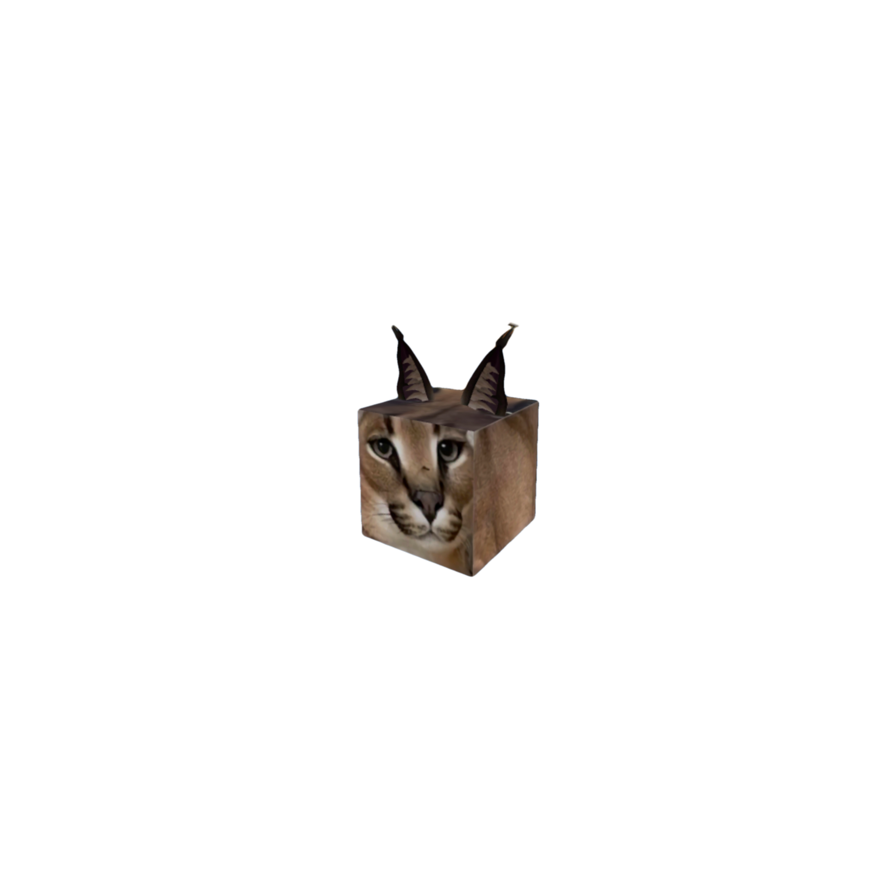 Floppa Cube Png